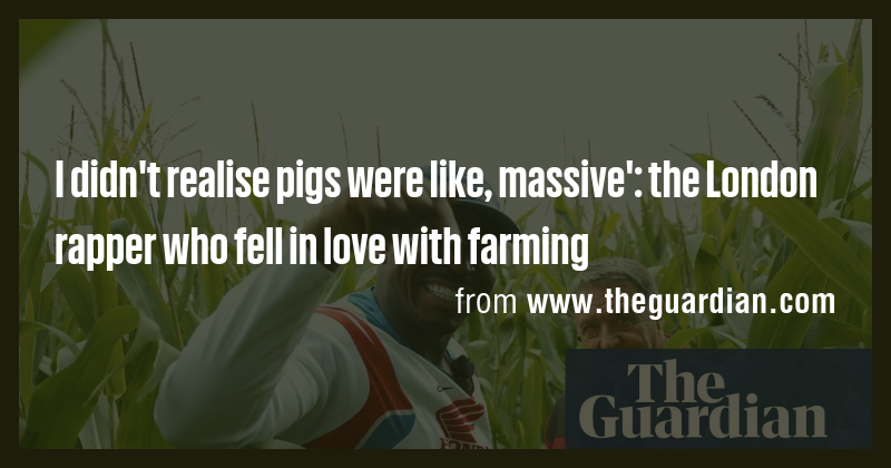 I didn't realise pigs were like, massive': the London rapper who fell ...