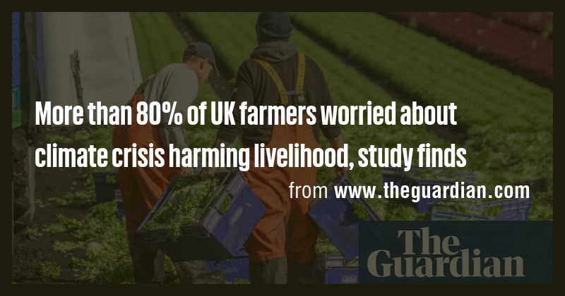 More than 80% of UK farmers worried about climate crisis harming ...
