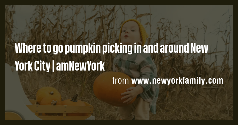 Where to go pumpkin picking in and around New York City | amNewYork ...