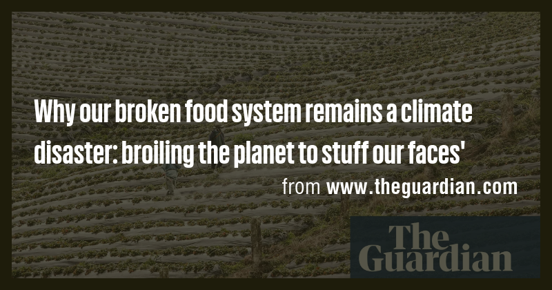 Why our broken food system remains a climate disaster: broiling the ...