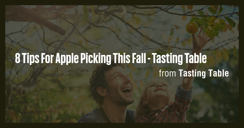 8 Tips For Apple Picking This Fall - Tasting Table - Briefly