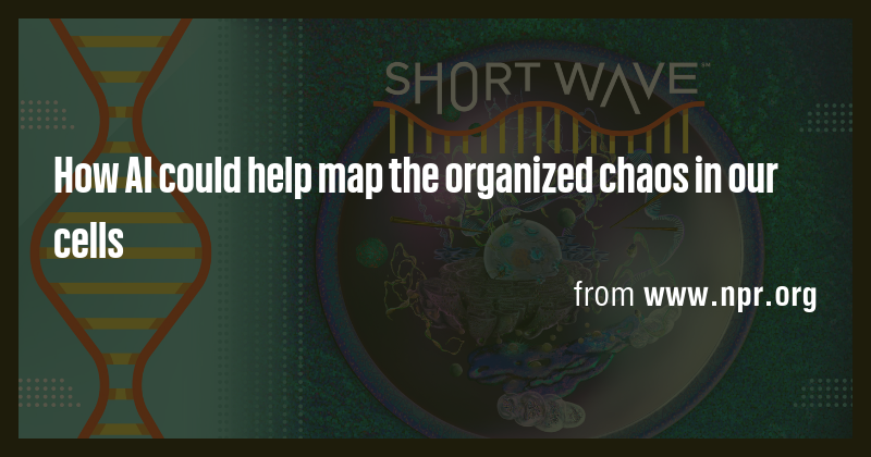 How AI could help map the organized chaos in our cells - Briefly