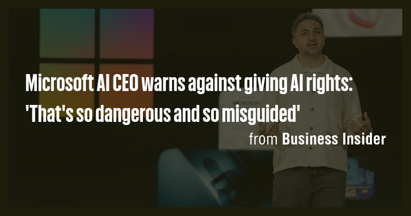 Microsoft AI CEO warns against giving AI rights: 'That's so dangerous ...