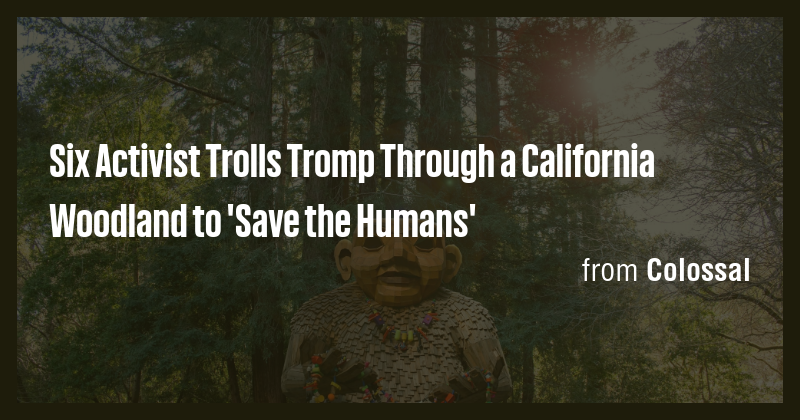 Six Activist Trolls Tromp Through a California Woodland to 'Save the ...