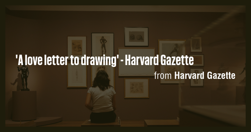 'A love letter to drawing' - Harvard Gazette - Briefly