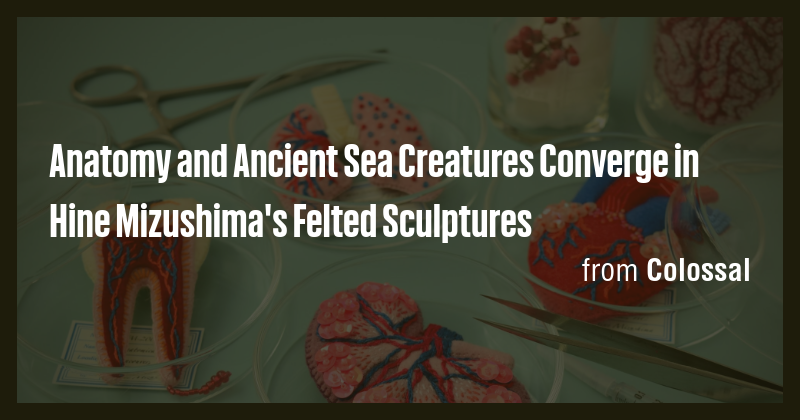 Anatomy and Ancient Sea Creatures Converge in Hine Mizushima's Felted ...