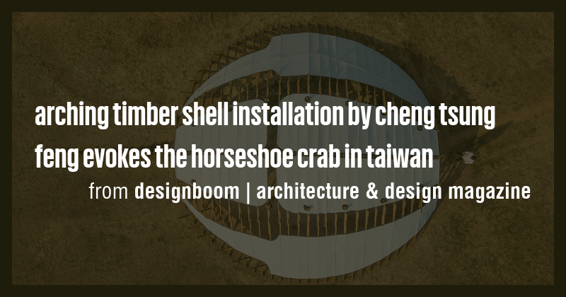 arching timber shell installation by cheng tsung feng evokes the ...