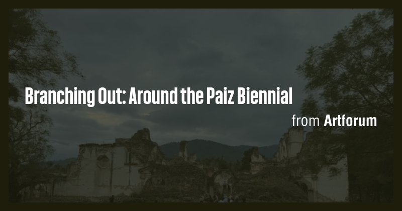 Branching Out: Around the Paiz Biennial - Briefly