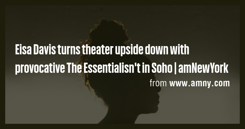 Eisa Davis turns theater upside down with provocative The Essentialisn ...