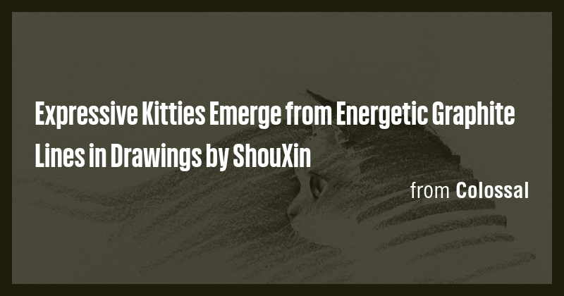 Expressive Kitties Emerge from Energetic Graphite Lines in Drawings by ...