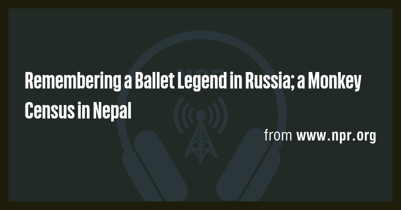 Remembering a Ballet Legend in Russia; a Monkey Census in Nepal - Briefly