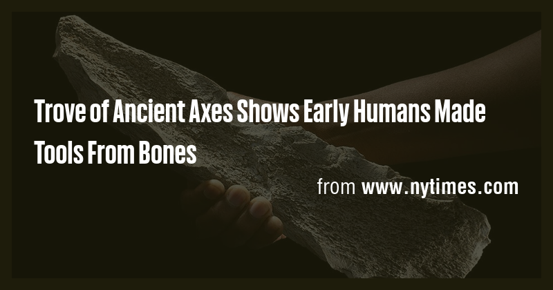 Trove of Ancient Axes Shows Early Humans Made Tools From Bones - Briefly