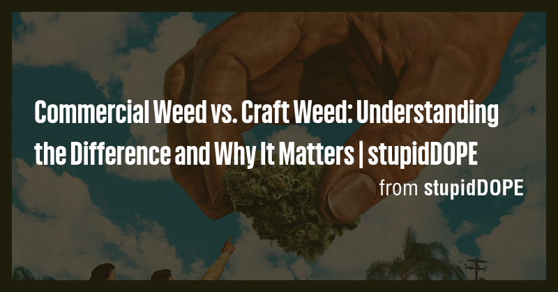 Commercial Weed vs. Craft Weed: Understanding the Difference and Why It ...