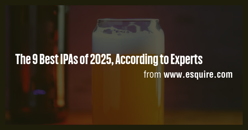 The 9 Best IPAs of 2025, According to Experts - Briefly