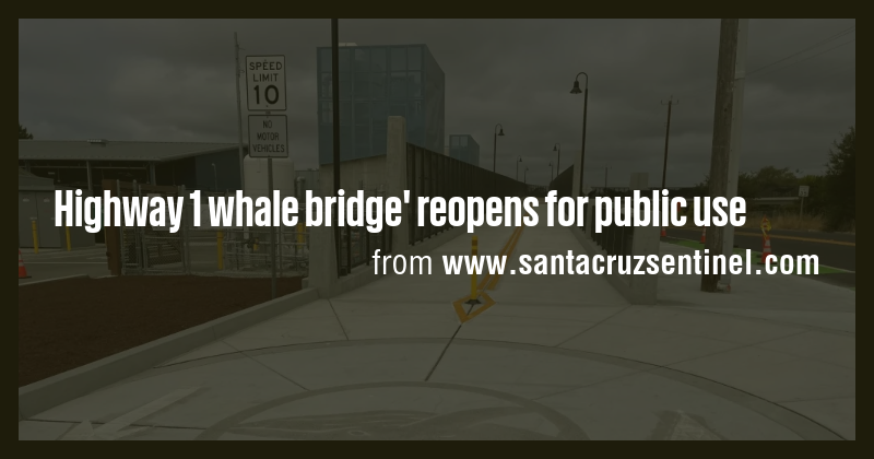 Highway 1 whale bridge' reopens for public use - Briefly