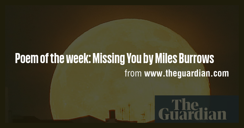 Poem of the week: Missing You by Miles Burrows - Briefly