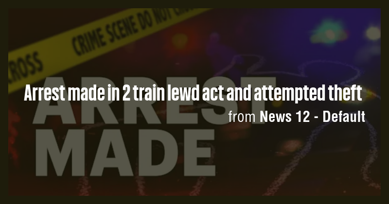 Arrest made in 2 train lewd act and attempted theft - Briefly