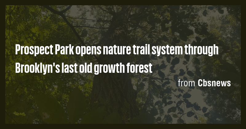 Prospect Park opens nature trail system through Brooklyn's last old ...