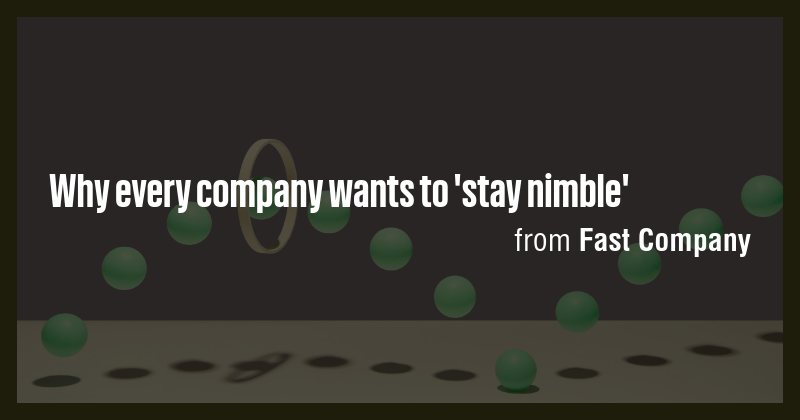 Why every company wants to 'stay nimble' - Briefly