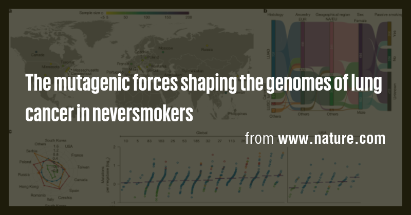 The mutagenic forces shaping the genomes of lung cancer in neversmokers ...
