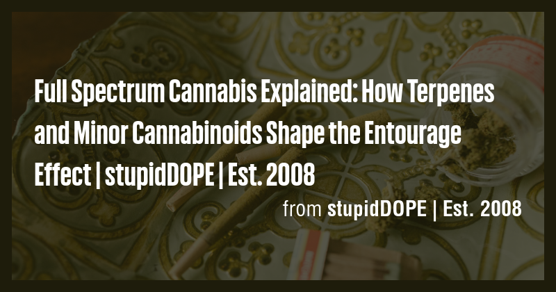 Full Spectrum Cannabis Explained: How Terpenes and Minor Cannabinoids ...