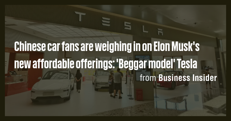 Chinese car fans are weighing in on Elon Musk's new affordable ...
