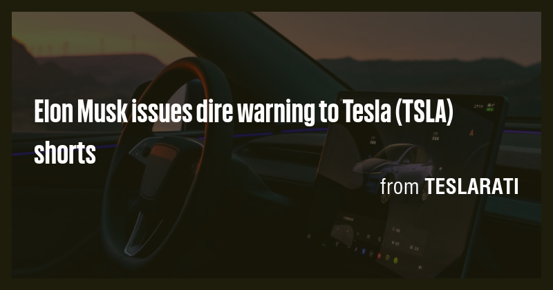 Elon Musk issues dire warning to Tesla (TSLA) shorts - Briefly