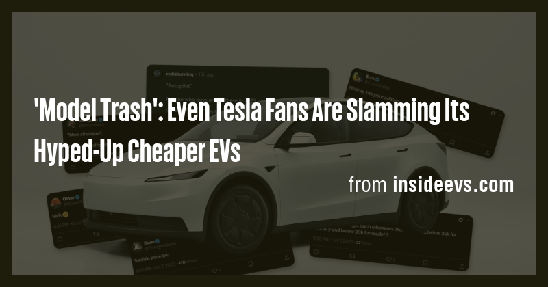 'Model Trash': Even Tesla Fans Are Slamming Its Hyped-Up Cheaper EVs ...