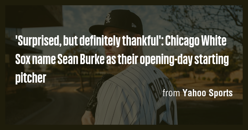 'Surprised, but definitely thankful': Chicago White Sox name Sean Burke ...