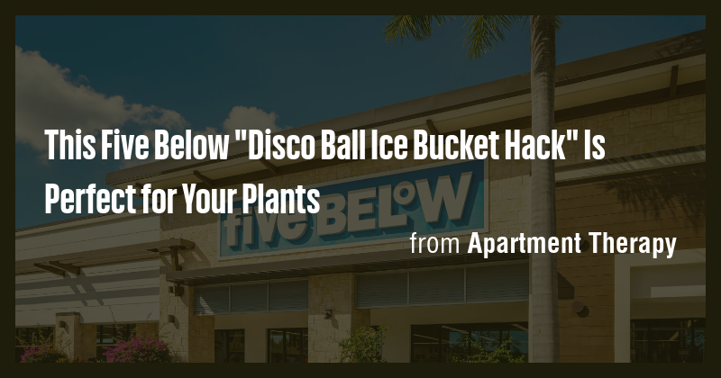 This Five Below "Disco Ball Ice Bucket Hack" Is Perfect for Your Plants ...