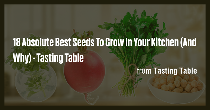 18 Absolute Best Seeds To Grow In Your Kitchen (And Why) - Tasting ...