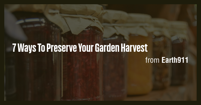 7 Ways To Preserve Your Garden Harvest - Briefly