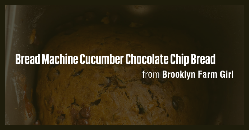 Bread Machine Cucumber Chocolate Chip Bread - Briefly