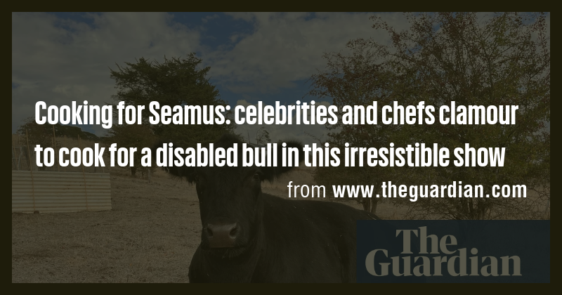 Cooking for Seamus: celebrities and chefs clamour to cook for a ...