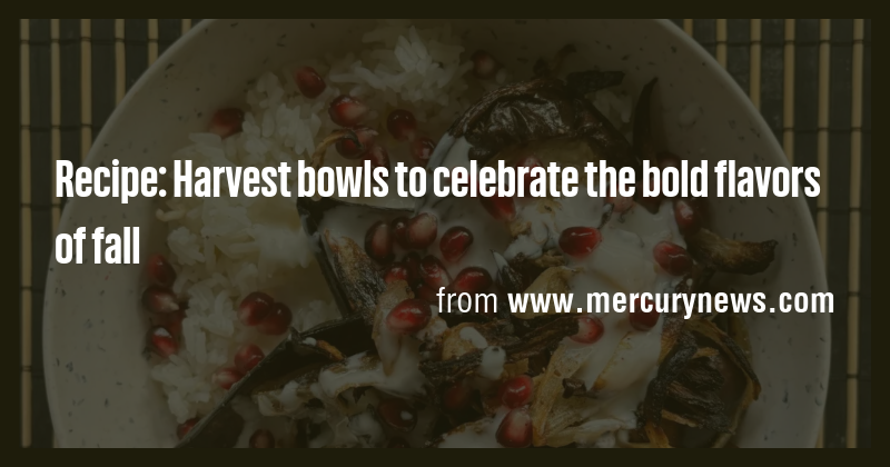 Recipe: Harvest bowls to celebrate the bold flavors of fall - Briefly