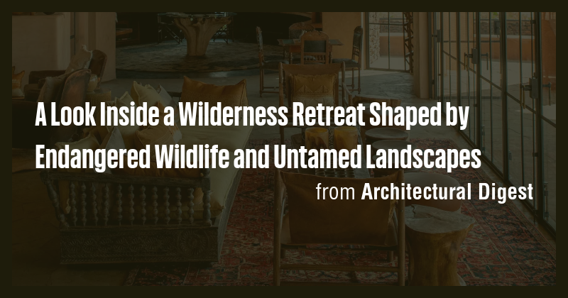 A Look Inside a Wilderness Retreat Shaped by Endangered Wildlife and ...