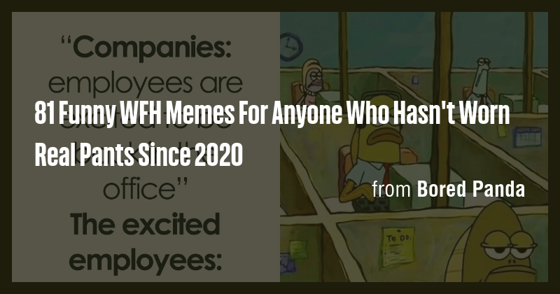 81 Funny WFH Memes For Anyone Who Hasn't Worn Real Pants Since 2020 ...