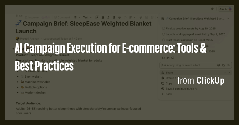 AI Campaign Execution for E-commerce: Tools & Best Practices - Briefly