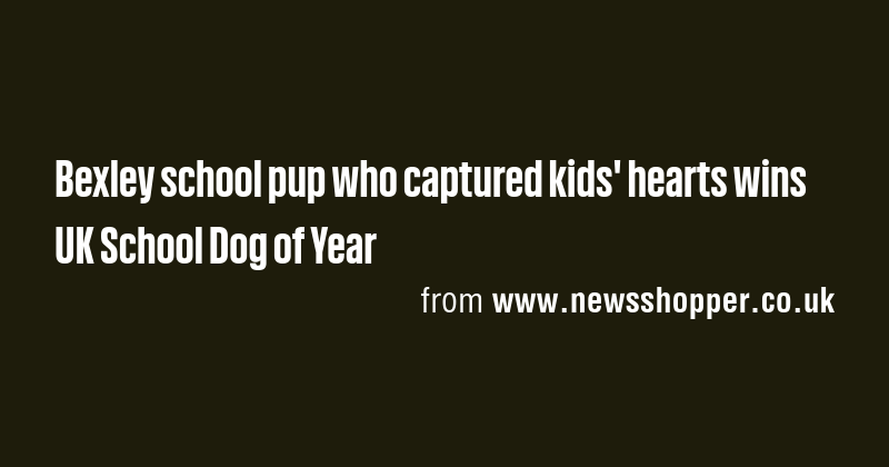 Bexley school pup who captured kids' hearts wins UK School Dog of Year ...