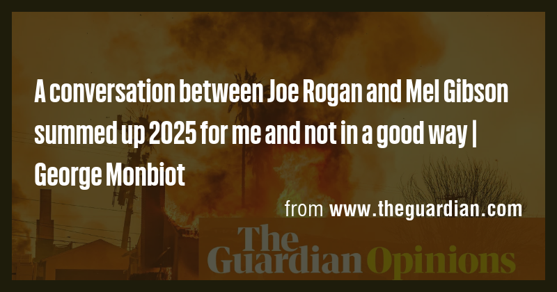 A conversation between Joe Rogan and Mel Gibson summed up 2025 for me ...