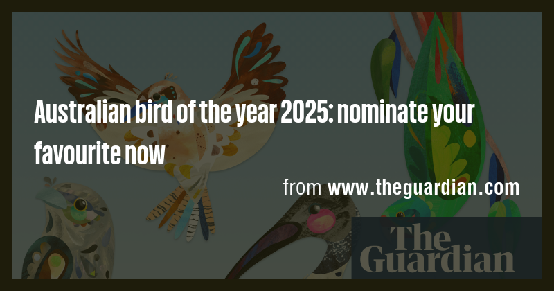 Australian bird of the year 2025: nominate your favourite now - Briefly