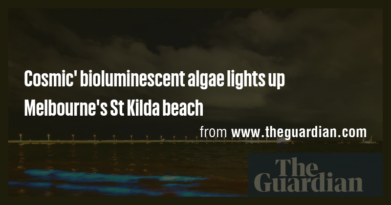 Cosmic' bioluminescent algae lights up Melbourne's St Kilda beach - Briefly