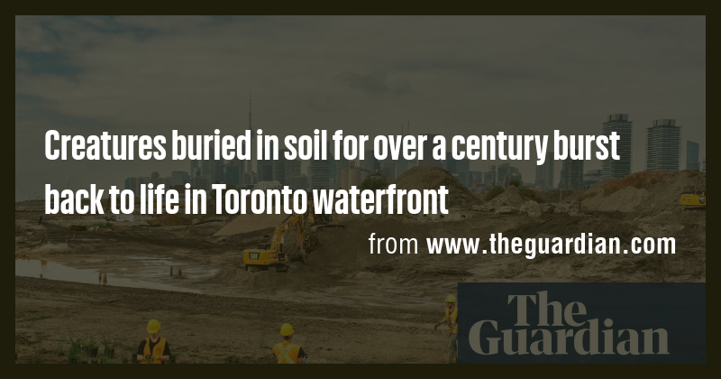 Creatures buried in soil for over a century burst back to life in ...