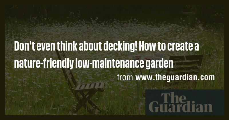 Don't even think about decking! How to create a nature-friendly low ...