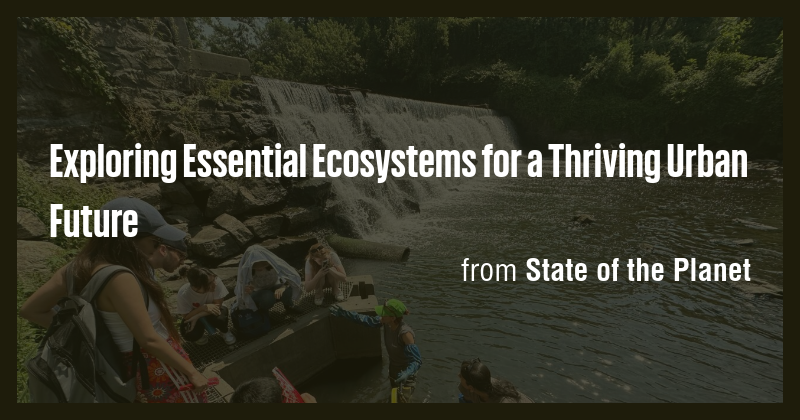 Exploring Essential Ecosystems for a Thriving Urban Future - Briefly