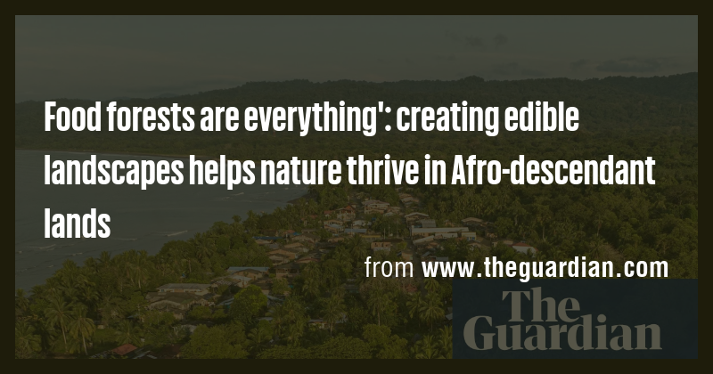 Food forests are everything': creating edible landscapes helps nature ...