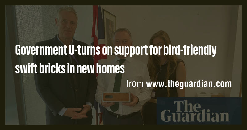 Government U-turns on support for bird-friendly swift bricks in new ...