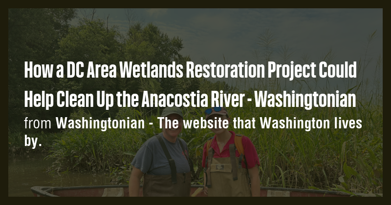 How a DC Area Wetlands Restoration Project Could Help Clean Up the ...