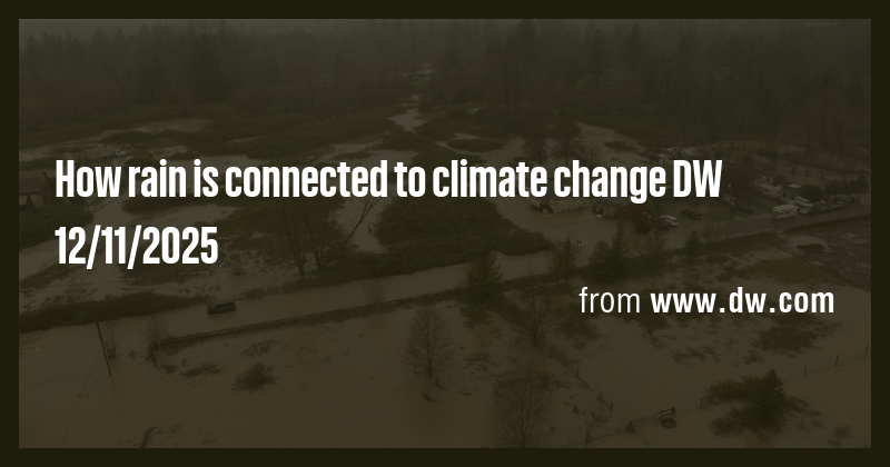 How rain is connected to climate change DW 12/11/2025 - Briefly