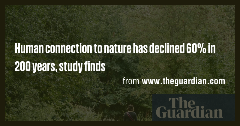 Human connection to nature has declined 60% in 200 years, study finds ...